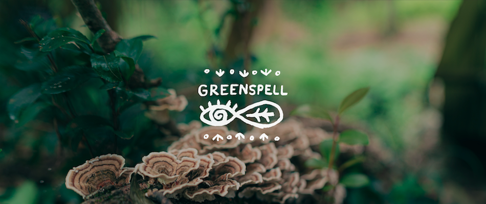 Sumac-ade (Staghorn Sumac Lemonade)